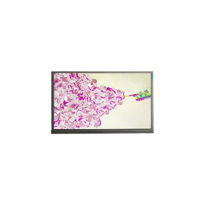 Κίνα 8.0 ιντσών 1024*768 F080A35-602 οθόνη LCD προς πώληση