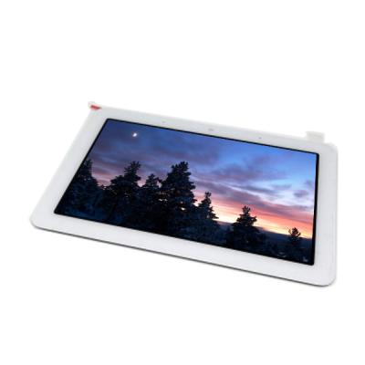 China New 7.0 inch TV070WSM-TG1 600*1024 LCD Display Panel for sale