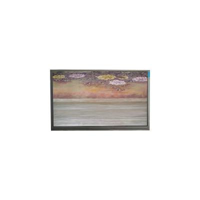 Cina 6.1 pollice TFT LCD Panel U061SWR6-0 schermo LCD display panel in vendita