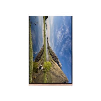 China NV103WUM-N61 10.3 inch 1200*1920 LCD Screen Display For Pad Tablet for sale