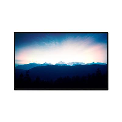 Cina Hot Sell 10,1 pollici TV101WUB-NW2-D8P0 1200*1920 schermo LCD in vendita
