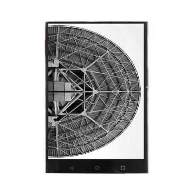8.9 pulgadas 800 * 1280 a-si panel TFT LCD QV089WXQ-N80-3QP0 pantalla TFT LCD