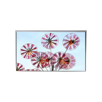 Cina M270DAN05.0 CELL 27.0 pollici 2560*1440 a-Si TFT-LCD Screen Panel in vendita