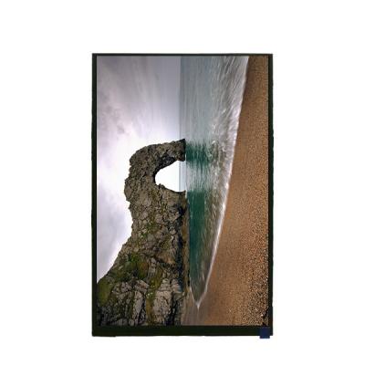 Cina 10.1 pollici 1200*1920 LCD Display Panel TV101WUM-NX0 per Pad Tablet in vendita