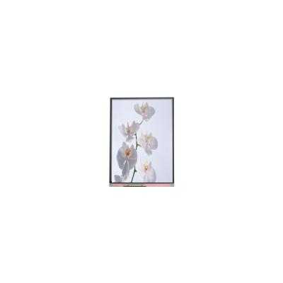 China C060SWR6-1 6.0 inch 720*1528 LCD Screen Panel for sale