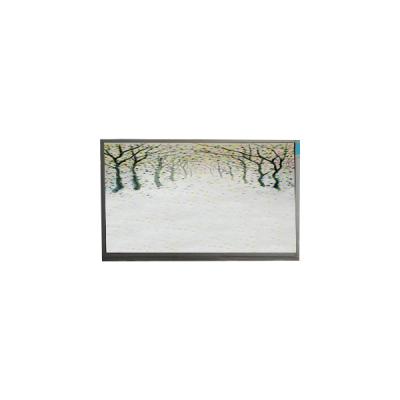 Китай R125NWR3 R3 12,5 дюймовый LCD модуль 1366*768 LCD дисплей продается