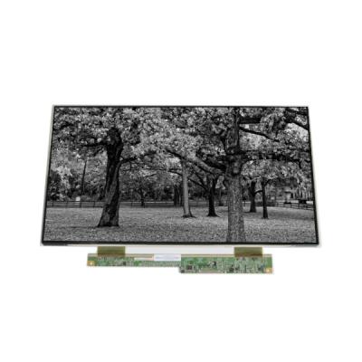 Cina MV185WHB-N10 18,5 pollici schermo LCD originale schermo LCD in vendita
