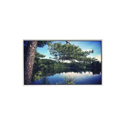 Cina 21.5 pollici Original HM215WU3-501 TFT LCD Display Panel in vendita