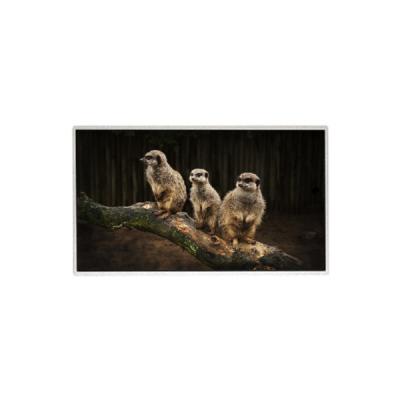 Cina HR236WU1-310 23.6 pollici 1920*1080 schermo LCD TFT pannello LCD in vendita