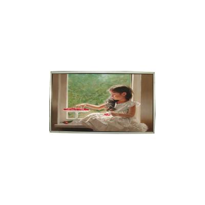 China 23.0 inch LTM230HT05-V 30 Pins 1920*1080 LCD-schermpaneel Te koop