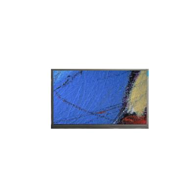 중국 새로운 7.0 인치 480*234 F07020-01D LCD 화면 패널 판매용