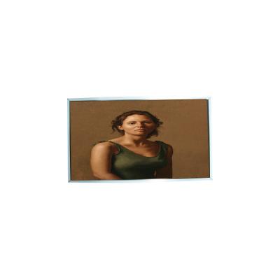 China 15.0 pulgadas P1500XGF1MB01 1024*768 panel de pantalla LCD industrial TFT en venta