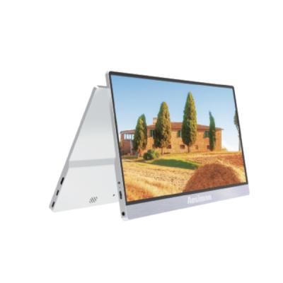 China 12.5 inch portable monitor 1080p monitor, laptop Ips Fhd high brightness 300 Nits gaming monitor for sale