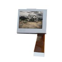 China New 1.46 inch LCD panel A015AN03 V0 TFT-LCD Module screen for sale