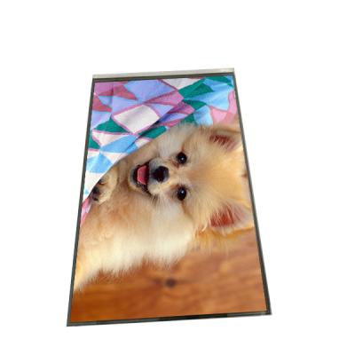 China AUO 8.0 inch LCD 800×1280 TFT LCD display B080EAK02.2 for sale