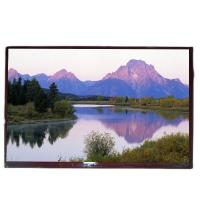 China LCD panel 10.1 inch B101UAN01.1 lcd display module screen for sale