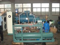 China Parallel Refrigeration 4 Hp 5 Hp Condensing Unit With Multi Compressors for sale