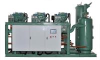 China Parallel Refrigeration 4 Hp 5 Hp Condensing Unit With Multi Compressors for sale