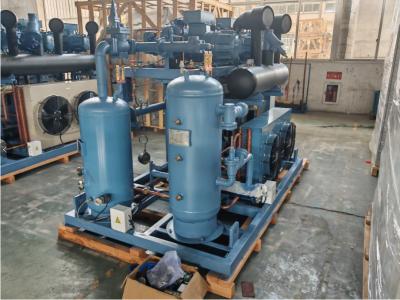 China Refrigeration Cold Room Condenser With Multi Compressors for sale