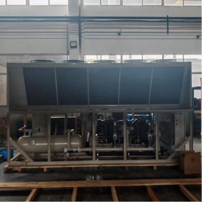 Cina Apparecchiature per unità di condensazione di tipo W per camera fredda in vendita