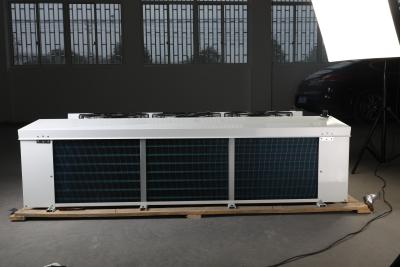 中国 EEシリーズ商用両面エアクーラー 販売のため