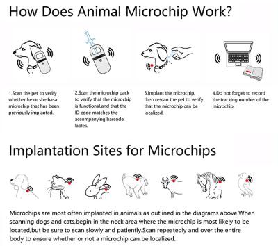 Cina Etichetta di vetro di applicazione iniettabile di RFID per il pesce che segue il microchip animale dell'animale domestico di identificazione del cane in vendita