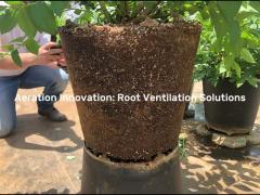 Plastic Plant Pots For Berries
