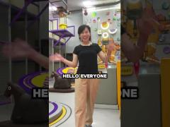 アドベンチャー忍者 屋内遊び場 勇敢な挑戦 屋内ユニセックス