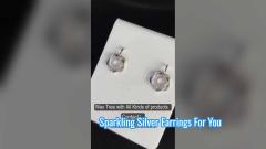 925 Silver White Rhodium CZ Double Circle Dangle Stud Earrings