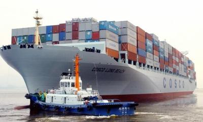 China Dongguan forwarder,Dongguan sea freight forwarder,Dongguan international sea freight forwarder for sale