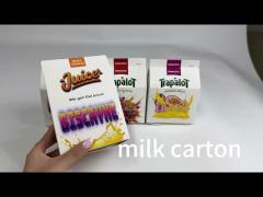 Logo personalizzato caldo cartone cartone corrugato Display Box Display Custom Logo stampato per snack