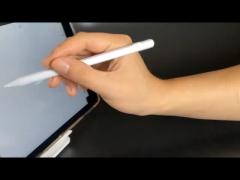 penna dello stilo c05-1