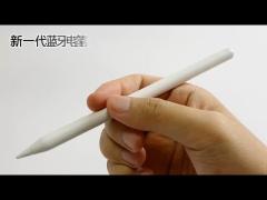 penna dello stilo c10-1