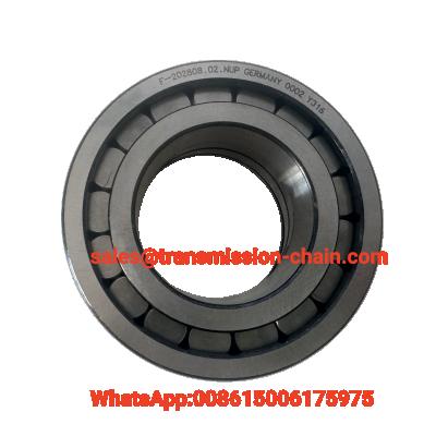 China Good Quality F-202808.02.NUP Hydraulic Pump Bearing Full Complement Cylindrical Roller Bearing for sale