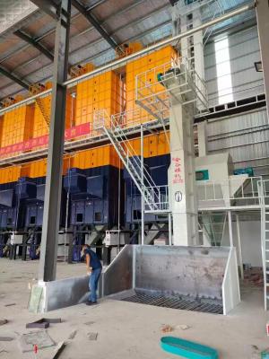 Cina Asciugatrice di semi di riso paddy Asciugatrice di semi di riso di alta qualità Venditore 30 tonnellate in vendita