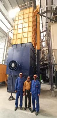 중국 그린 그램 건조기 혼합 흐름 순환 그램 건조기 20 톤 판매용