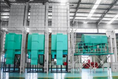 China 32-35 Tons Corn Dryer Machine with 2900*2260*12700mm Dimension and 10000-14000m3/h Air Consumption for sale