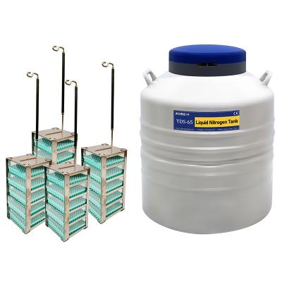 China liquid nitrogen dewar semen tank 65L Caliber 216mm for sale