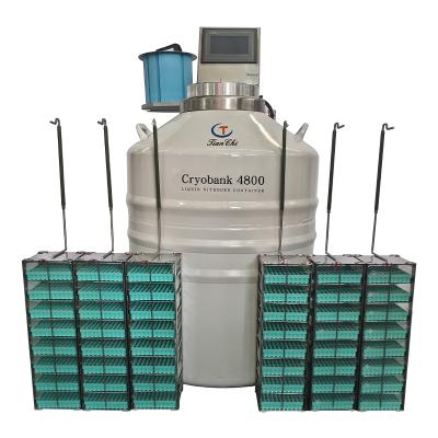 China Gas phase liquid nitrogen dewar semen tank for sale