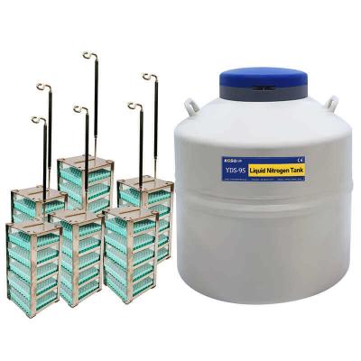 China KGSQ liquid nitrogen tank for cell storage price for sale