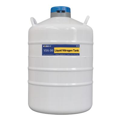 China liquid nitrogen cell storage tank yds-30 ln2 vessel In Chile for sale