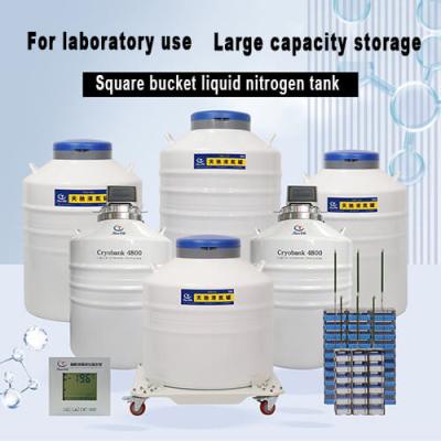 China Botswana liquid nitrogen storage vessel KGSQ cryo storage tank for sale