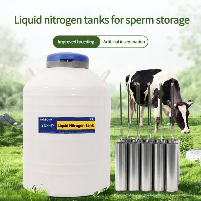 China Tonga-frozen sperm container-portable cryogenic container for sale
