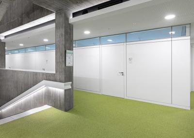 중국 fashionable design solid partition wall fast installation office glazed wall with door lock 판매용