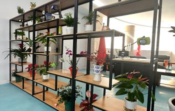 China Factory - GREEN LIGHTING TECHNOLOGY CO.,LTD