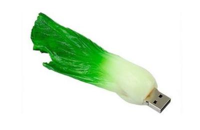 China vegetable usb flash drive China supplier for sale