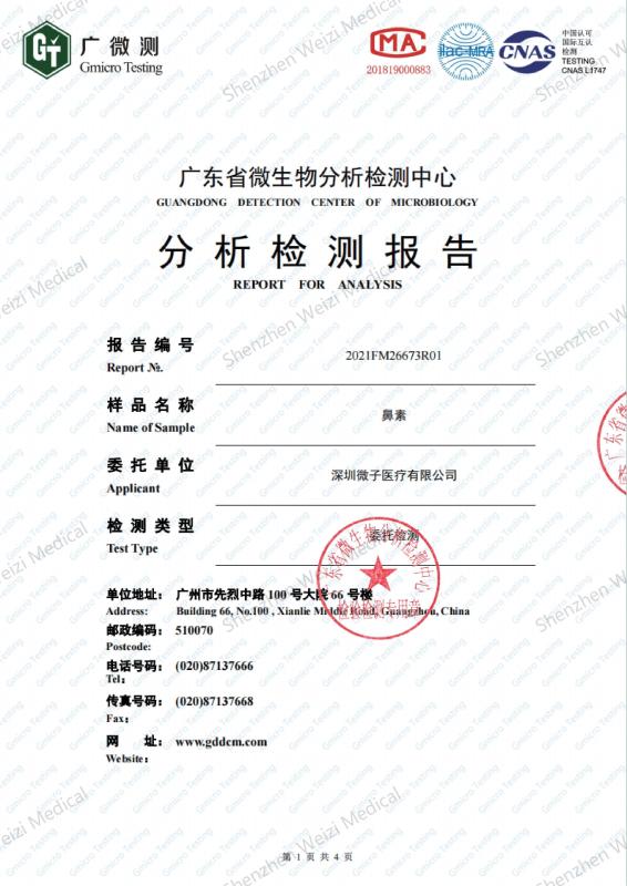 Negative Hydrogen Oxygen Ion Generator - Guangwei Side - Analysis and Test Report - Shenzhen Weizi Medical Co., Ltd.