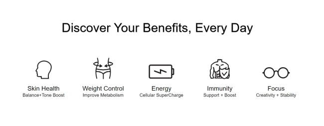 Hydrogen Inhaler components