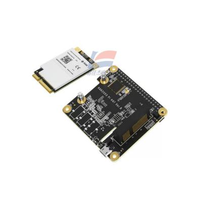 China YJJ RAK5146 PiHAT Concentrator Module Suitable for LoRaWAN for Sensor Data Collection for sale