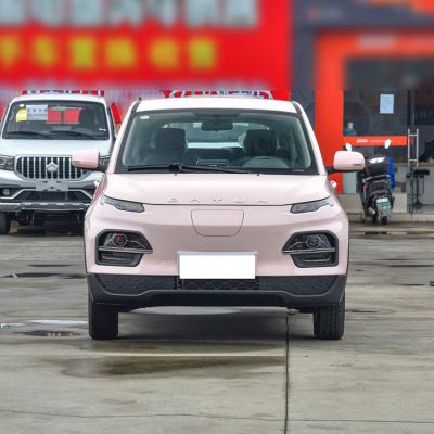 Cina SUV elettrico Dayun Yuehu Veicolo elettrico a timone sinistro e destro per veicoli energetici in vendita